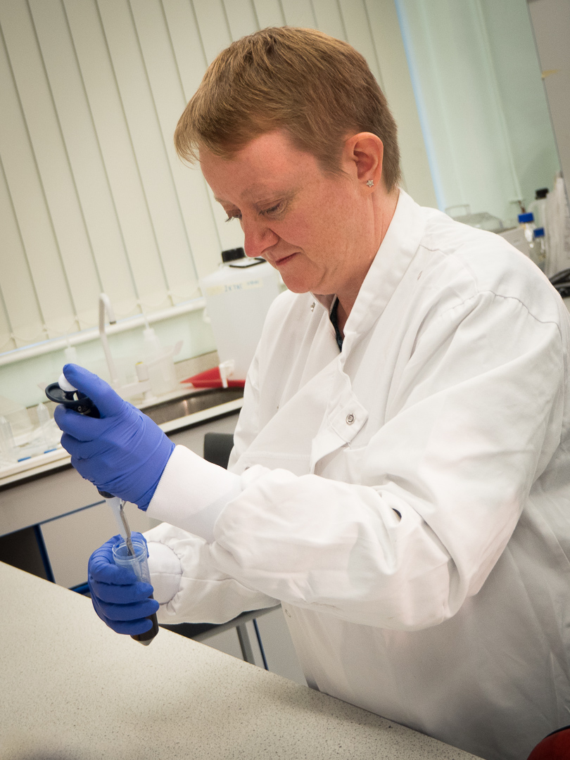 NanoLuc-PEST as a Reporter Tool for Compound Screening in Protozoan ...